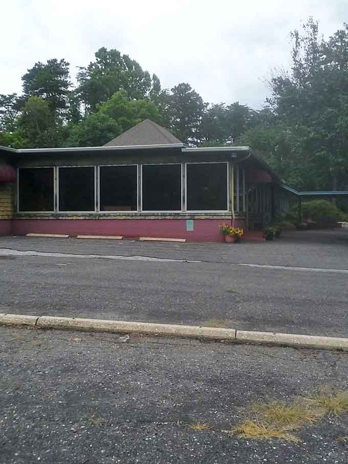The retro charm of this building, nestled under towering trees, proves that timeless places never go out of style.