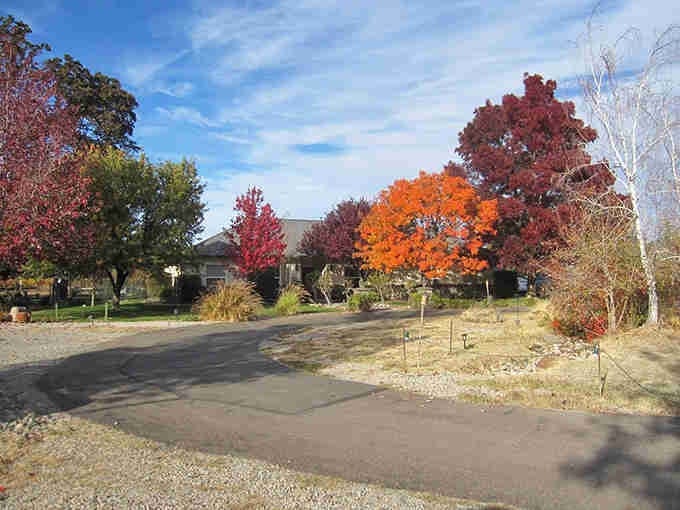 Autumn explodes in brilliant reds and oranges, proving small-town California knows how to put on a show.