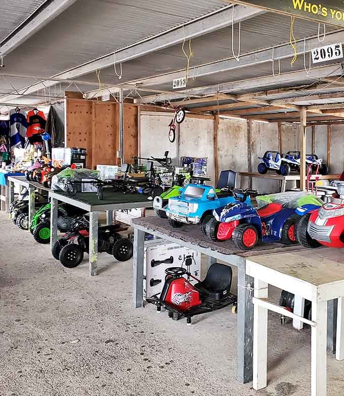 Mini electric vehicles promise to turn your backyard into a pint-sized NASCAR track for the under-ten crowd.