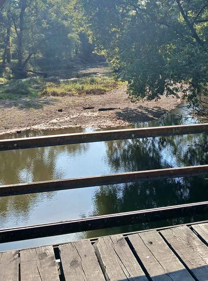 The approach reveals weathered railings standing guard, their paint peeling like sunburned skin after too many Illinois summers.