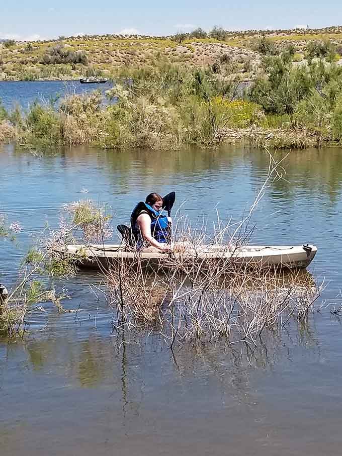Kayaking through flooded vegetation creates an adventure that's equal parts peaceful meditation and obstacle course navigation.