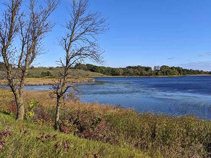Lake Brophy stretches out like nature's own argument that Minnesota's real treasure isn't controversial stones.