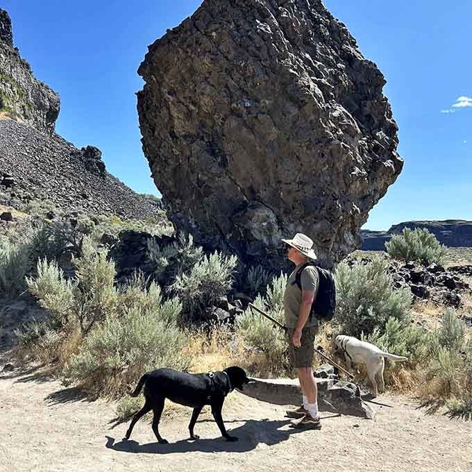 Bringing your four-legged friends along means they'll have stories to tell at the dog park for weeks.