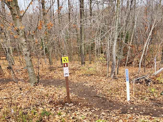 Hiking trails connect you to nature's free entertainment, where the only subscription required is comfortable walking shoes.