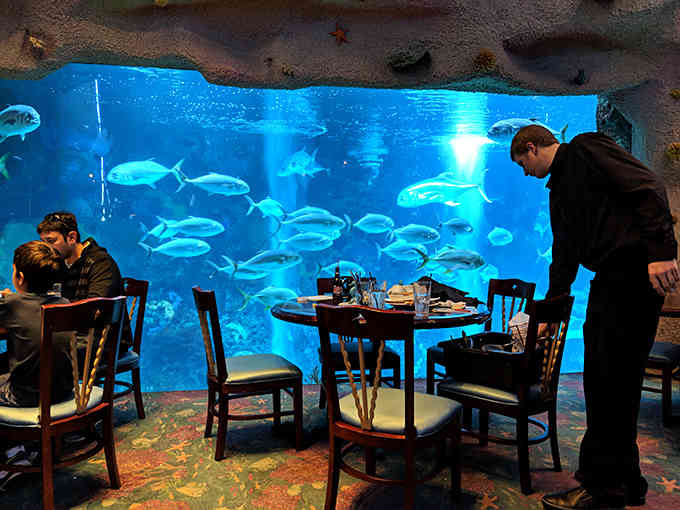 Attentive servers navigate the underwater-themed space, ensuring your dining experience flows smoothly throughout your visit.