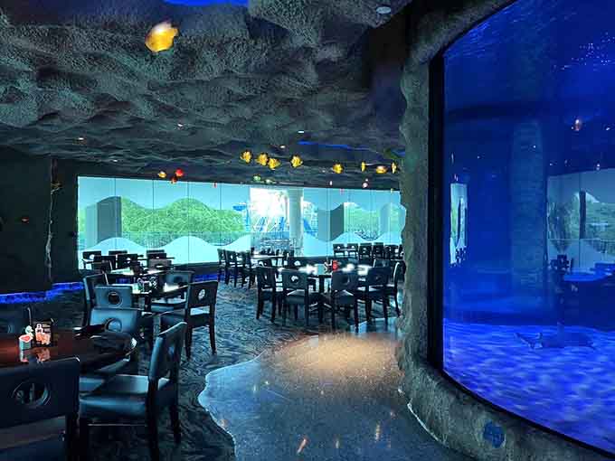 The blue glow creates an atmosphere that's part romantic date, part National Geographic special feature.