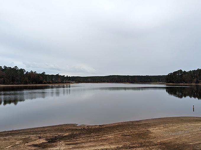 Even on overcast days, the lake maintains that peaceful, contemplative vibe we all desperately need.