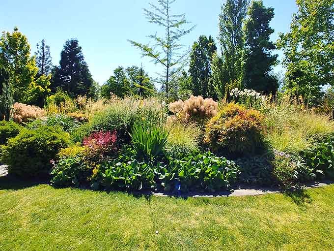 This garden bed showcases ornamental grasses and perennials arranged with more style than most people's living room furniture.