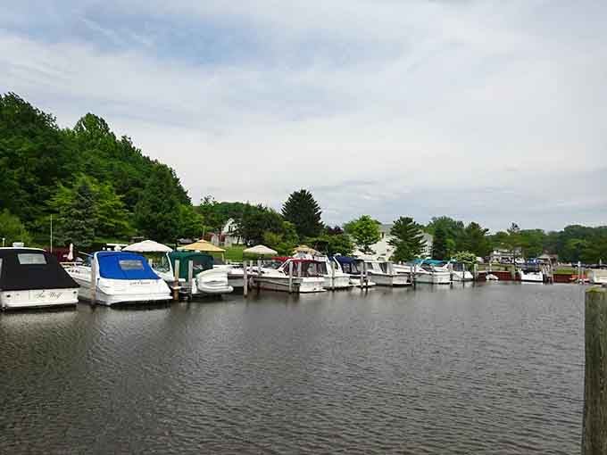 A lineup of boats creates a nautical neighborhood where everyone understands the appeal of waterfront living done right.