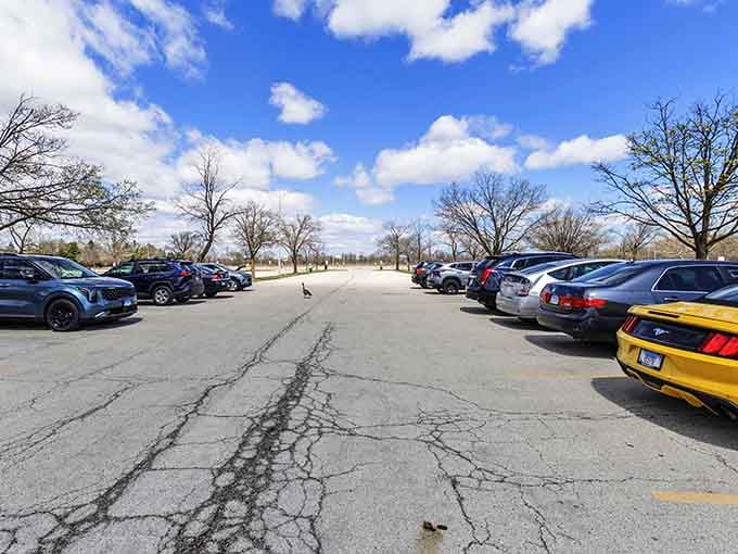 The parking lot's surprisingly civilized for a place where thousands come to witness nature's greatest hits daily.