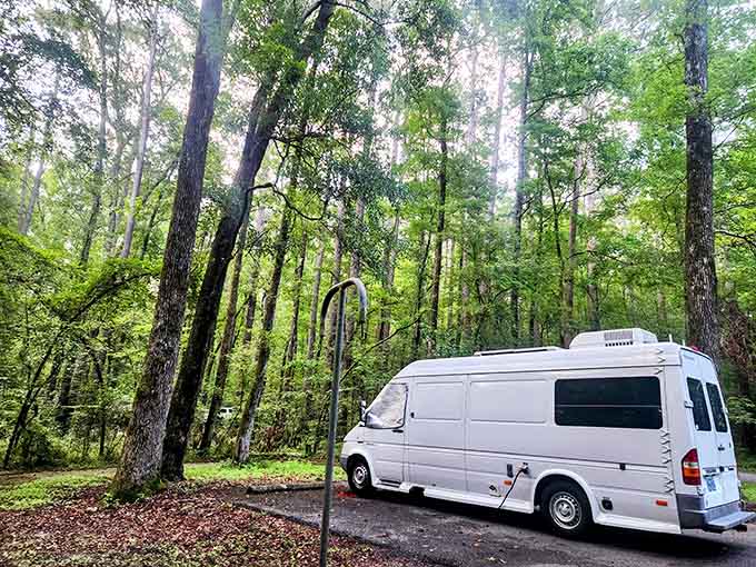 Even the parking areas are shaded by forest canopy, because Texas heat shows no mercy to parked cars.