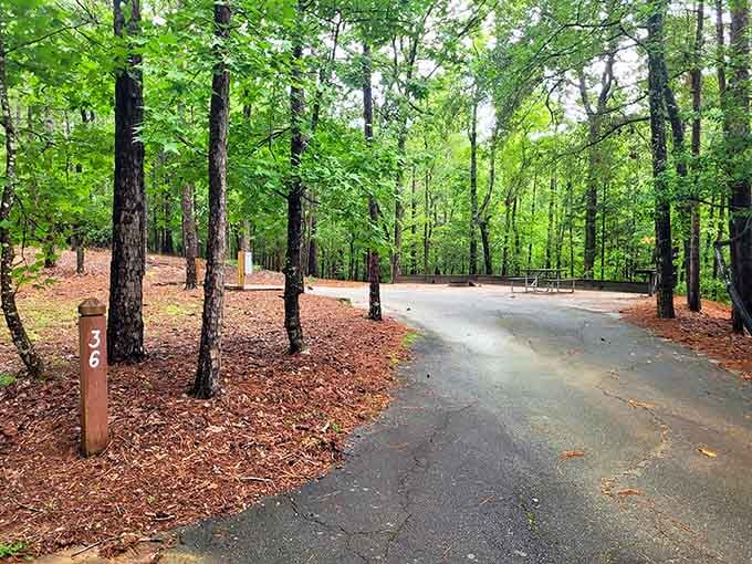 Paved paths through paradise mean your adventure doesn't require hiking boots that cost more than your car payment.