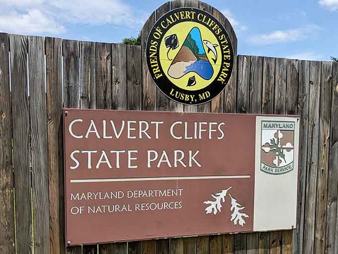 Welcome to where your inner paleontologist gets to come out and play for the day, parking fee included.