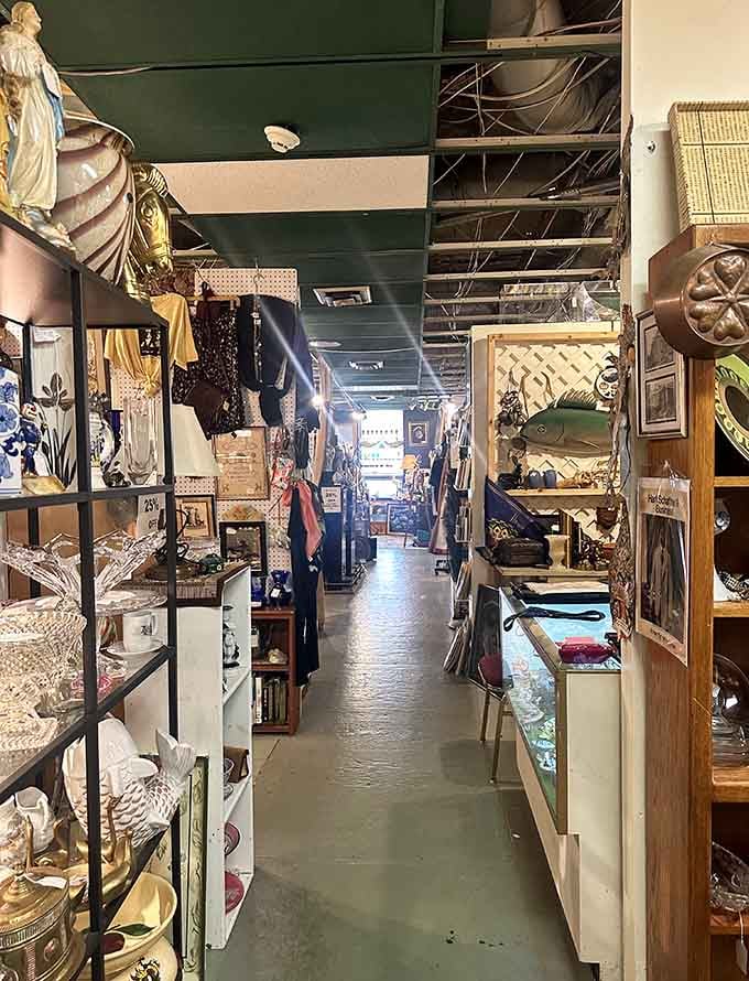 Aisles stretching into the distance like a museum where everything's for sale and nothing's behind velvet ropes or glass.