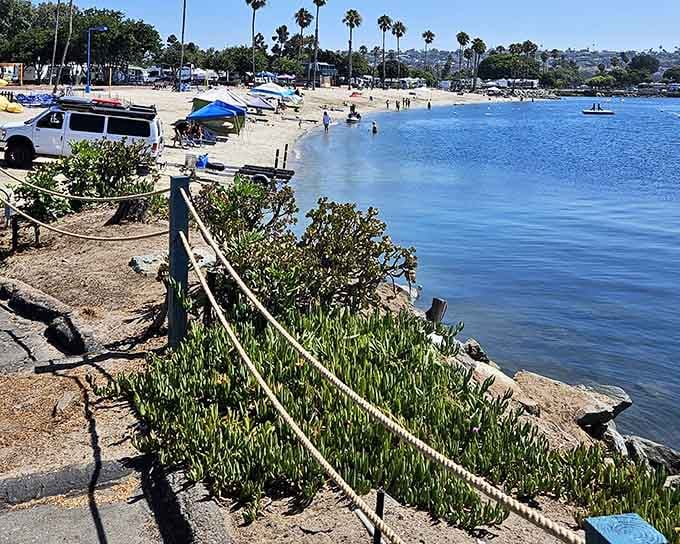 The bay shoreline invites swimmers into calm waters that won't knock you over like ocean waves.