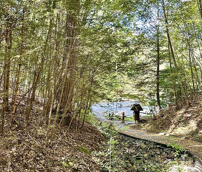 The trail opens up to reveal shimmering water through the trees, like finding a secret swimming hole.