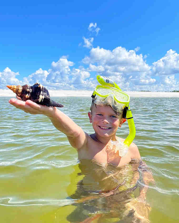 Finding treasures in shallow waters creates memories that last far longer than any souvenir shop purchase.