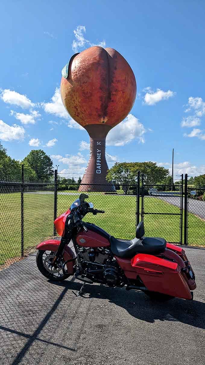 The Peachoid in Gaffney stands as possibly the world's most confident fruit-themed water tower ever constructed.