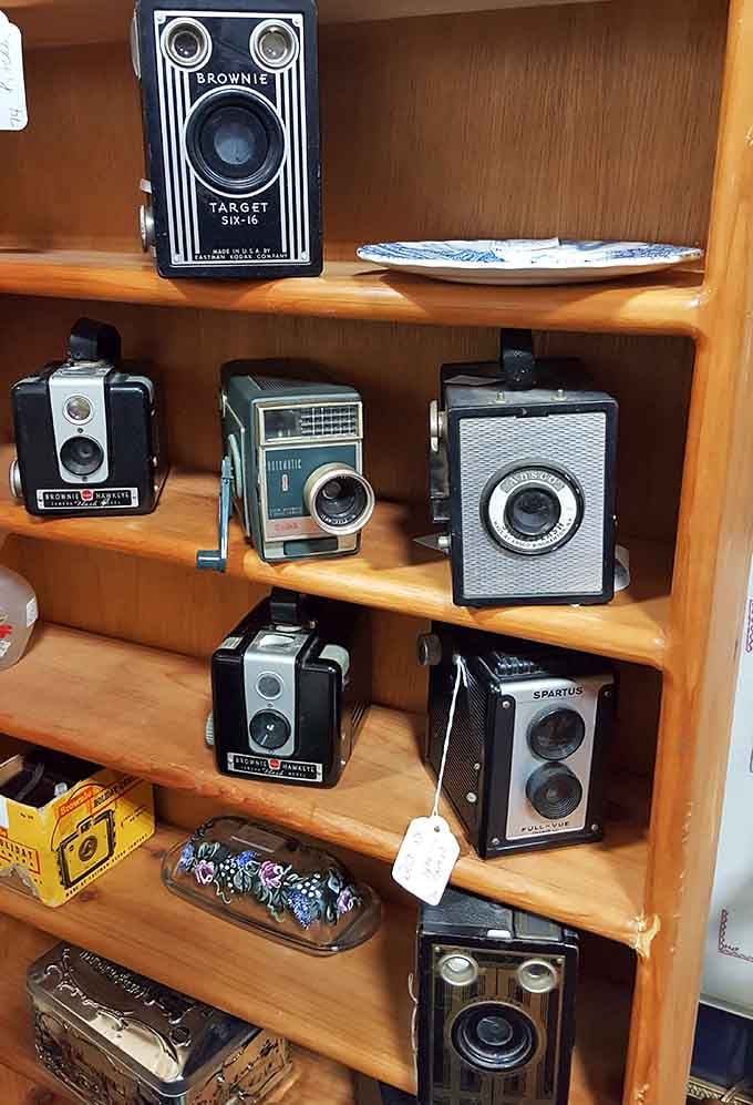 Brownie cameras and their vintage cousins line up like a photography class reunion, each one capturing memories in its day.