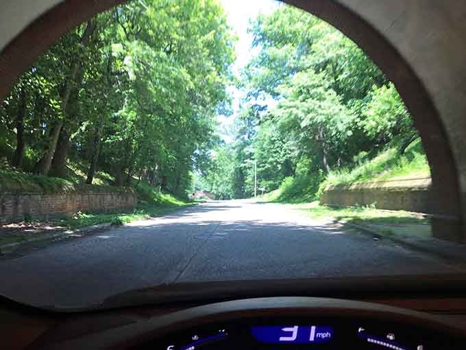 Emerging from the tunnel into green paradise, a transition that beats any theme park entrance ever built.