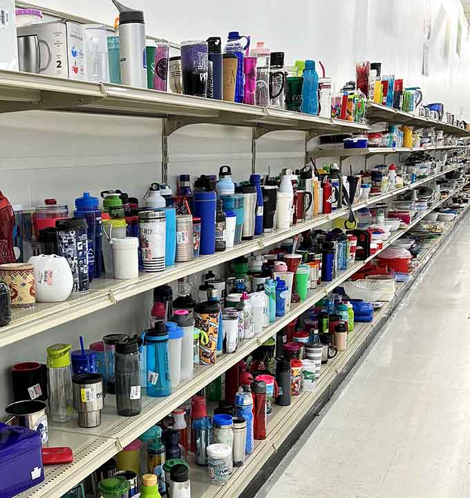 More water bottles than a yoga studio, minus the monthly membership fee and judgmental glances.