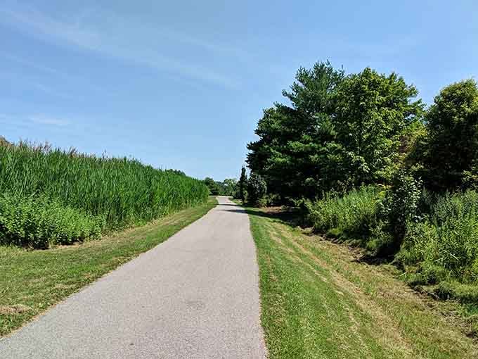 Paved trails wind through green corridors perfect for walking, biking, or contemplating why you ever needed a gym membership.