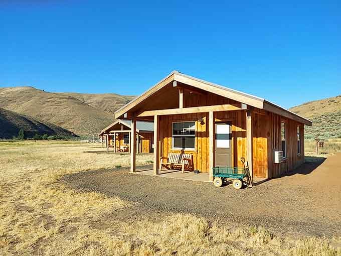 These rustic cabins offer shelter with character, where comfort meets the call of the wild perfectly.