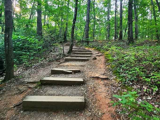 Wooden steps ease the climb through forests where trees have been standing longer than your favorite television shows.