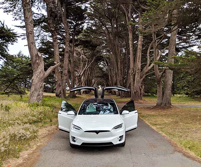 That Tesla's getting more likes on social media than most people's vacation photos, and honestly, fair enough.