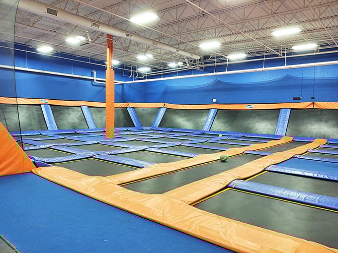 Wall-to-wall trampolines stretch out like a bouncy blue ocean, daring you to remember what gravity feels like.