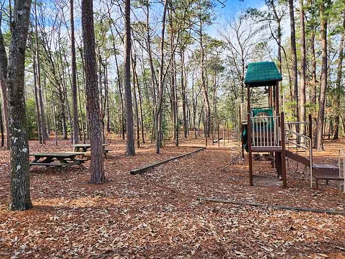 Little Pee Dee State Park offers playground fun surrounded by pines, where kids can be kids without supervision fees.