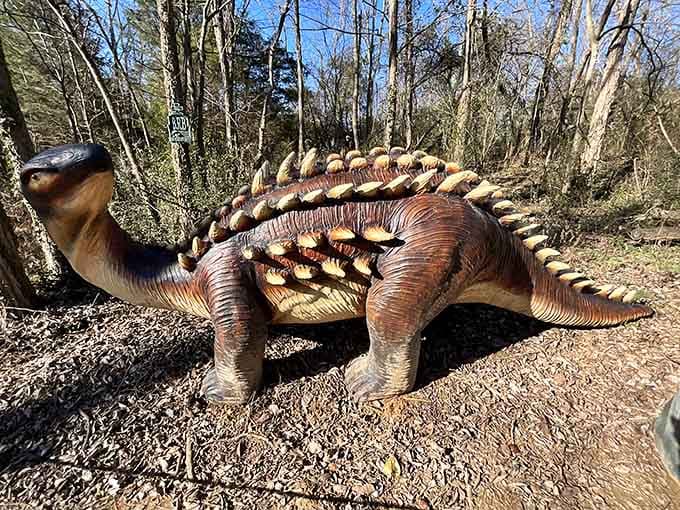 An Ankylosaurus that's basically a living tank with a tail club, nature's way of saying "try me, I dare you."