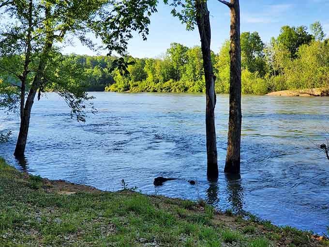 The Current River's crystal-clear waters flow past like liquid time, unchanged by decades of progress elsewhere.