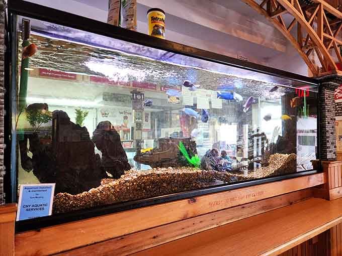 This aquarium lets you contemplate aquatic life before enthusiastically eating their delicious, battered cousins without guilt or irony.