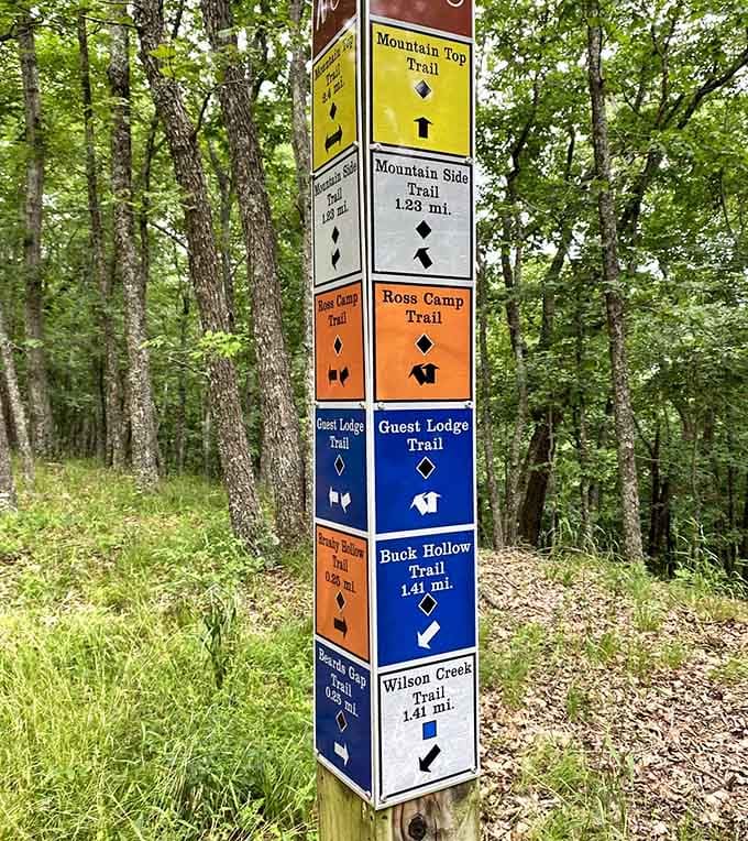 Trail markers guide hikers through wilderness adventures color-coded better than any subway system you've seen.