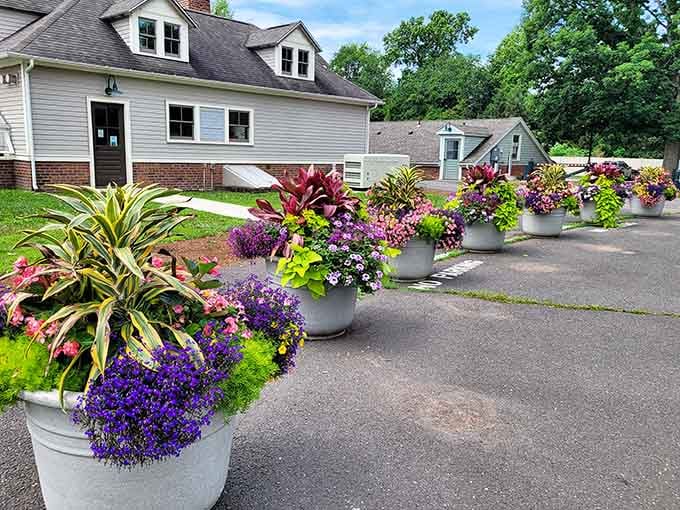 Colorful planters line the pathways, proving that even the parking area gets the five-star garden treatment around here.