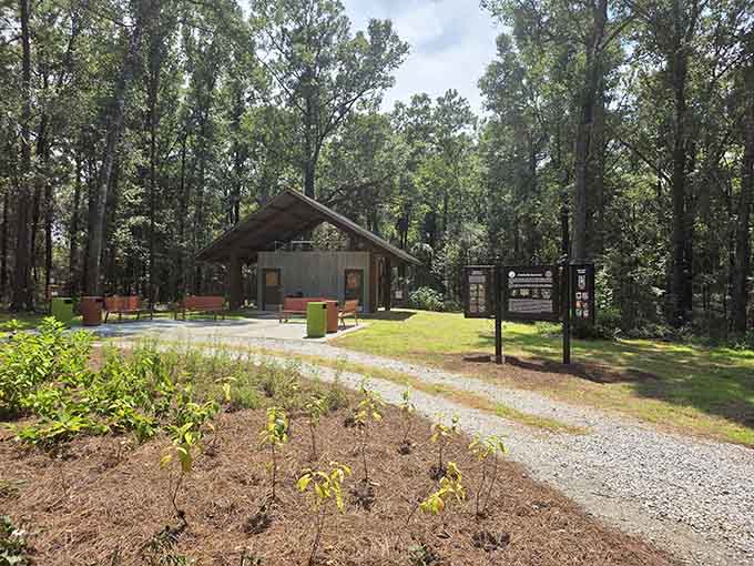 Flying Creek Nature Preserve provides peaceful trails where you can escape into Alabama's coastal forest without leaving town.