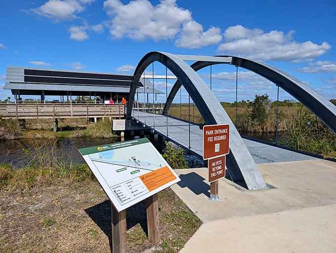 Modern engineering meets ancient swampland, creating an accessible gateway into Florida's prehistoric past for everyone to enjoy.