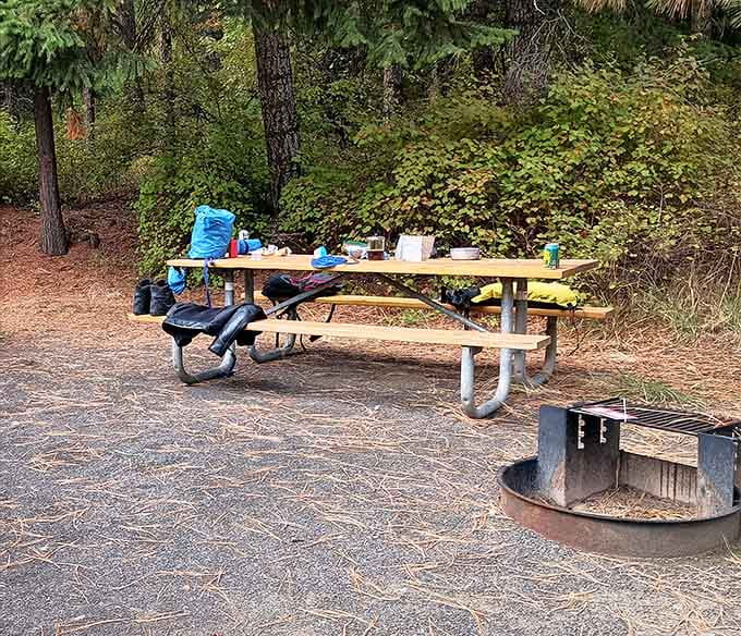 Picnic tables with million-dollar views, proving the best dining rooms don't need walls or reservations.
