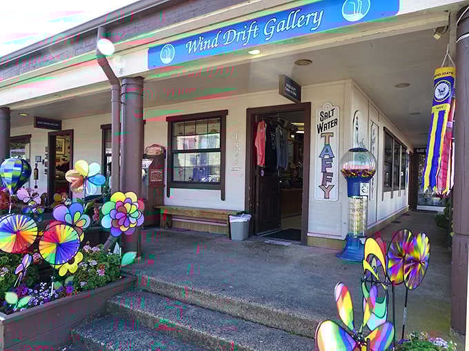 Wind Drift Gallery bursts with colorful pinwheels and coastal art, turning window shopping into an actual adventure worth taking slowly.
