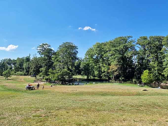 Open fields perfect for picnicking, proving this park offers more than just underground adventures to discover.