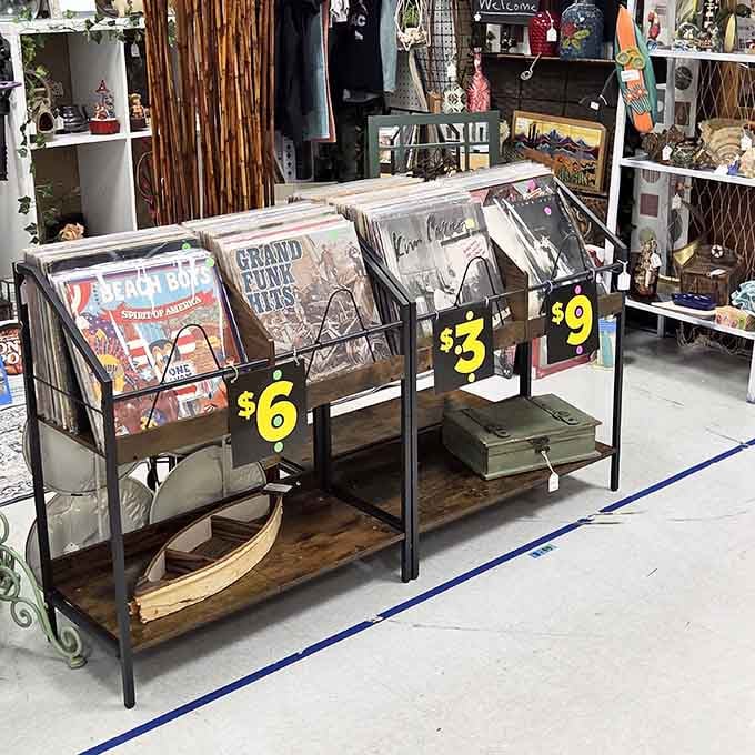 Vinyl records waiting to spin again, because some music just sounds better with a little crackle.