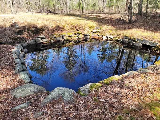 This tranquil water hole reflects the sky like nature's mirror, perfect for contemplative moments between trail segments.