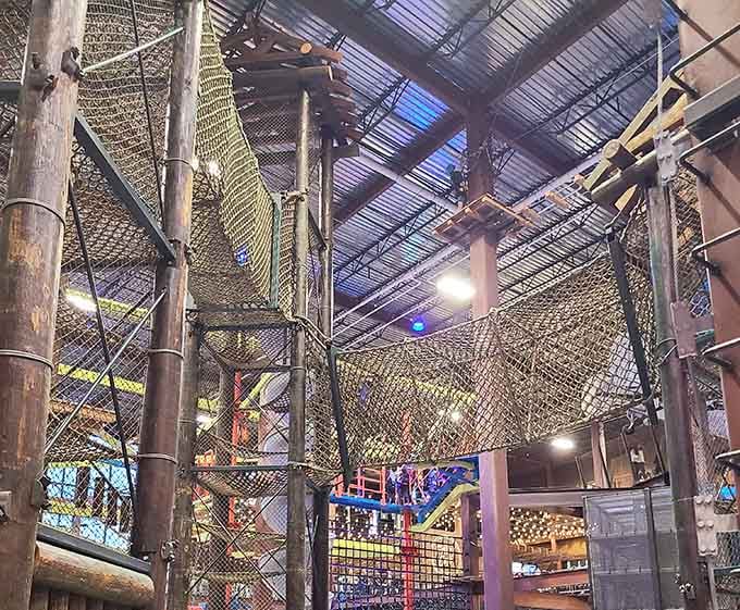 Those rope courses stretch across the facility like a spider's web designed by someone who loves chaos.