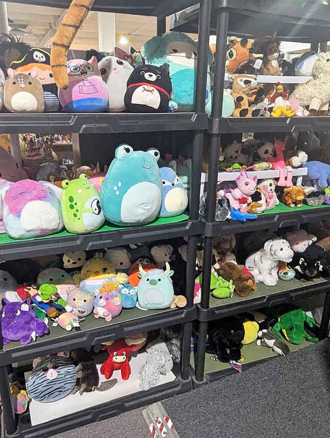 Adorable plushies line the shelves like a rainbow of huggable nostalgia that'll melt any heart.
