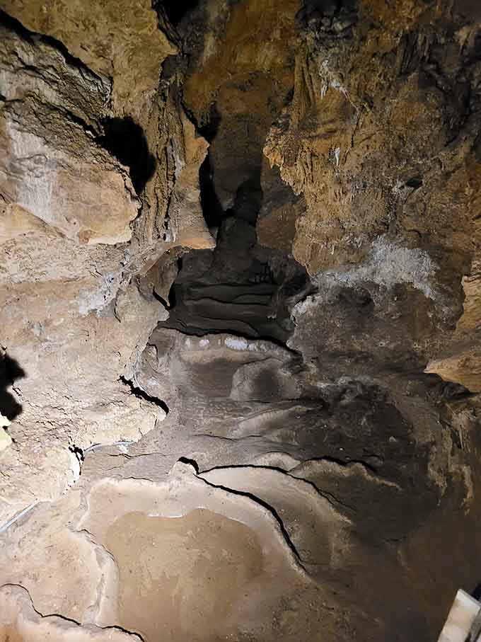 Shallow rimstone pools catch mineral-rich water, creating terraced formations that resemble tiny bathtubs for very patient cave dwellers.