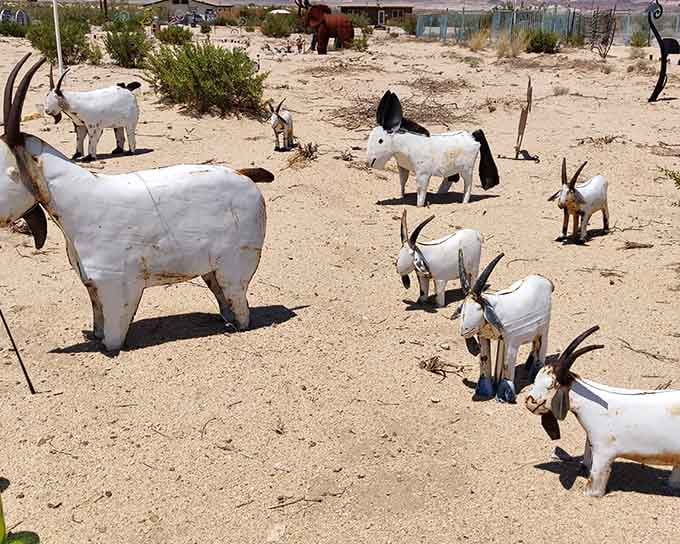 A herd of white metal goats grazes eternally, never complaining about the heat or lack of vegetation.