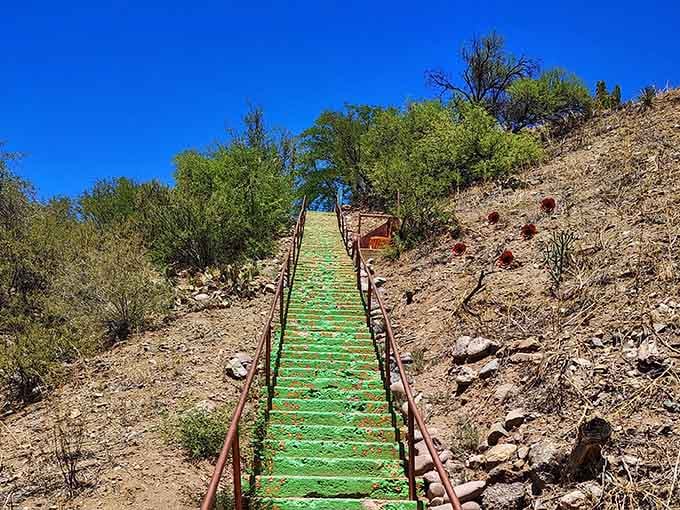 Those green stairs climbing the hillside look like someone decided exercise should come with spectacular desert views.