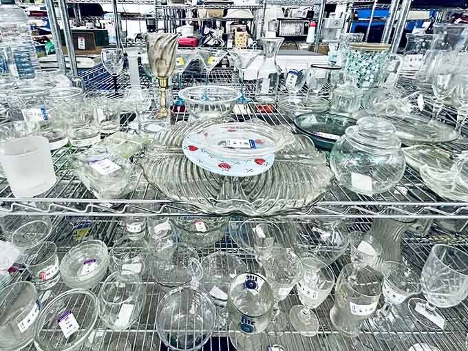 Glassware gleaming under fluorescent lights, ready to elevate your beverage consumption from functional to slightly fancy.