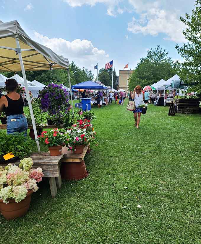 Farmers markets where the produce is actually from farms, not warehouses pretending to be farms for Instagram purposes.